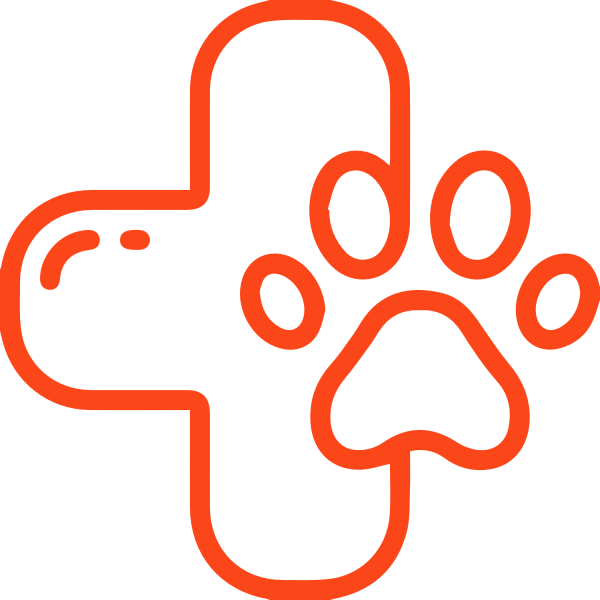 Our Business - Synthimed Pharma